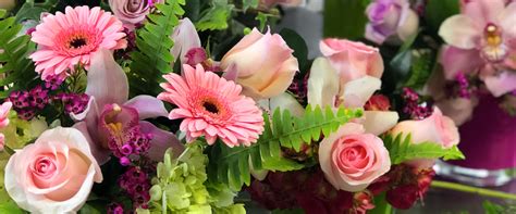 Currans Flowers Welcomes Kanes Flower World Customers Same Day