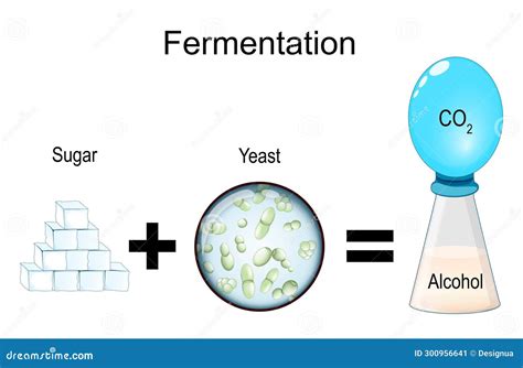 Fermentation Science Diagram