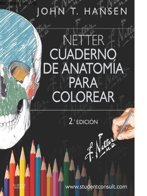 Netter Para Colorear 230926 164418 Pdf La Columna Vertebral Sistema Musculoesquelético