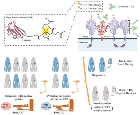 Her2 Targeted Dual Radiotracer Approach With Clinical Potential For
