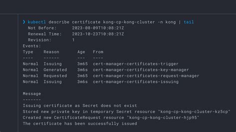 Kic Ingress Controller For Kubernetes Cloud Deployments Kong Inc