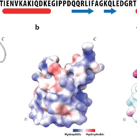 Mapping Of The Intensity Profile Analysis Mapping Of The Ubq Structure