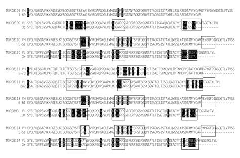 Compositions And Methods For Antibodies Targeting Complement Protein C5 Eureka Patsnap