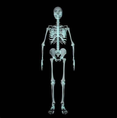 Skeleton Darth Vader Fictional Characters Darth