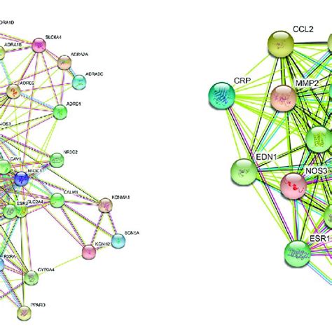 Ppi Network Of The Target Intersection From Qsyq T101 Main Chemical