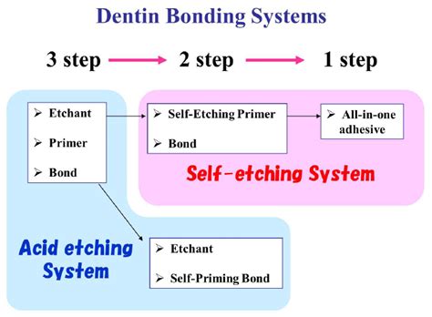 Classification Of Dentin Bonding Systems Dentin Bonding Systems Are Download Scientific
