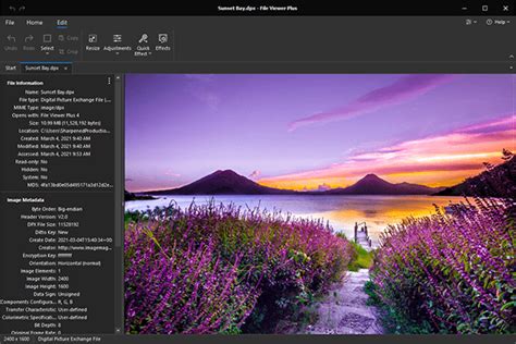 Open Dpx Files With File Viewer Plus