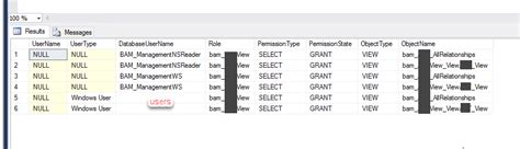 biztalk server bam sql queries checking who has permission sandro