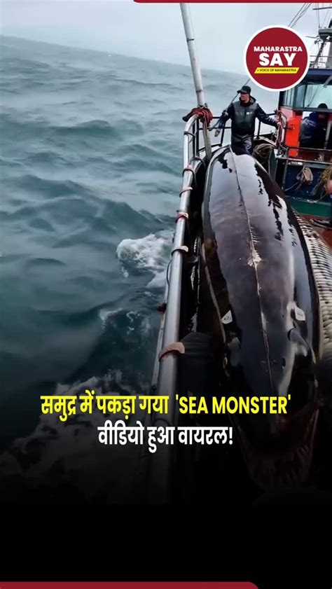 Maharashtra Say 🚨 ब्रेकिंग न्यूज़ कैलिफ़ोर्निया की उड़ने वाली कार अब ट्रैफिक नहीं सीधा हवा