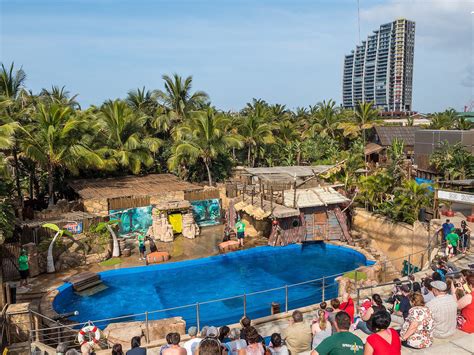 Top 10 Remarkable Facts About Ushaka Marine World Durban Discover