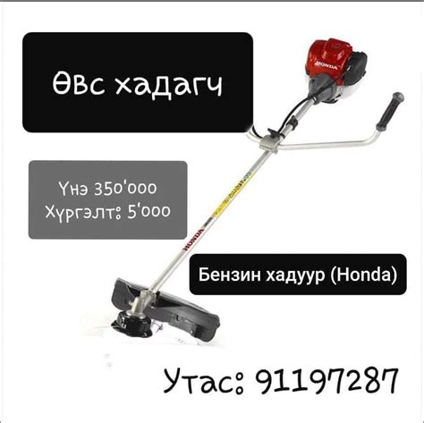 Ар гүнтийн оршин суугчид