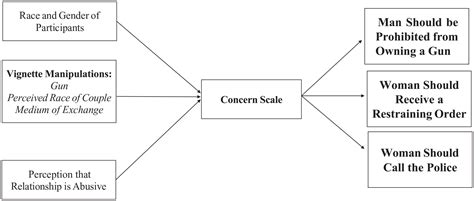How Americans Assess Intimate Partner Violence Evidence From A Survey