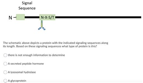 Solved Signal Sequence N N X S T The Schematic Above