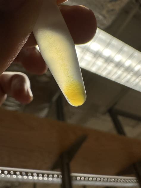 Does Anyone Have Gdna Extraction Protocol For Maize Leaves Could You Tell Me What Is This Green