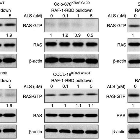 Als Modulates Ras Gtp Level In A Ras Allele Specific Manner In