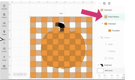 Insect In Design Space Daily Dose Of Diy