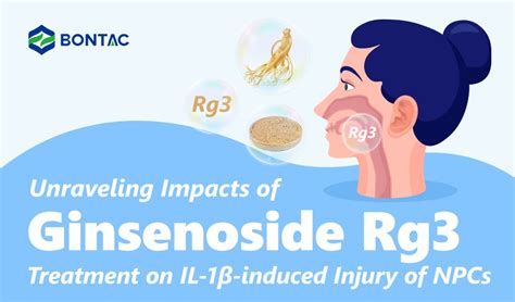 Unraveling Impacts Of Ginsenoside Rg3 Treatment On Il 1β Induced Injury