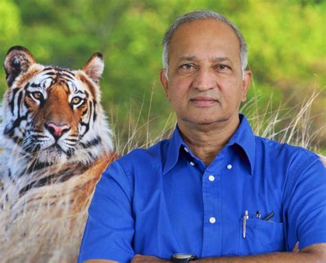 Dr Ullas Karanth The Kuno Project Is Doomed To Fail