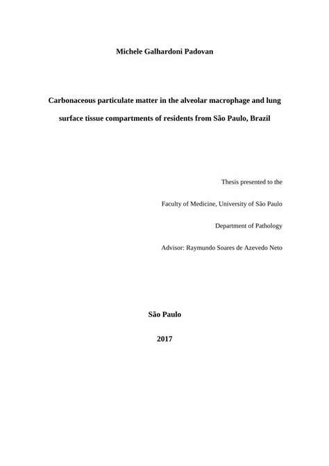 Pdf Carbonaceous Particulate Matter In The Alveolar Macrophage And