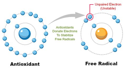 1 Best Selenium Supplement Liquid Selenium Supplement