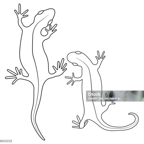 도마뱀 파충류 게코 개요 벡터 일러스트 레이 션의 세트 흰색 배경에 고립 된 간단한 라인 아트 그림 책 스티커 포스터 카드 옷을위한 템플릿 개념에 대한 스톡 벡터 아트 및