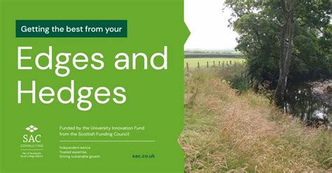 Managing Riparian Buffer Strips To Optimise Ecosystem Services A Review Sac Consulting