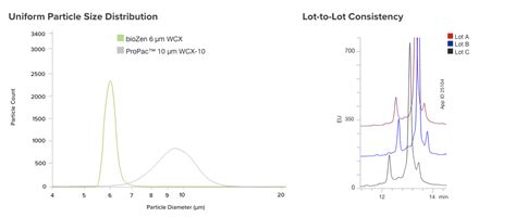 Biozen Wcx Hplc Columns Phenomenex