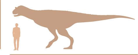 Carnotaurus Size Compared To Human