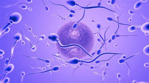 11 Meanings Of Dreaming About Sperm Dreamyo