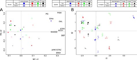 Results From PLS DA Analysis Are Plotted In Multivariate Molecular Download Scientific Diagram