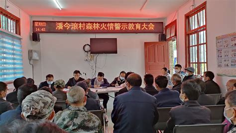 违规野外用火引发森林火情，村规民约罚！吴某某组织潘今滚