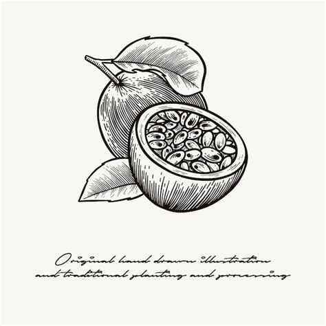 Premium Vector Hand Drawn Passion Fruit Illustration In Engraving Style