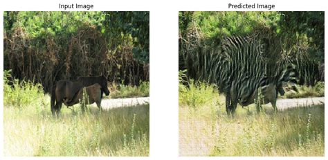 Cyclegan Tensorflow Core