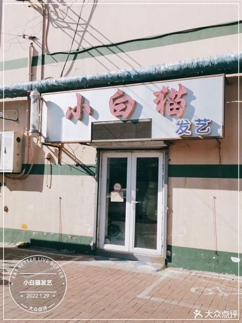 锦州瑾伊猫装老板 猫瑾 大山谷图库
