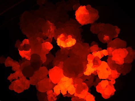 Crispr Genome Editing In Plants With Gold Nanoparticles Innovative