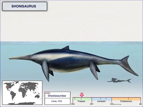 Shonisaurus By Cisiopurple On Deviantart