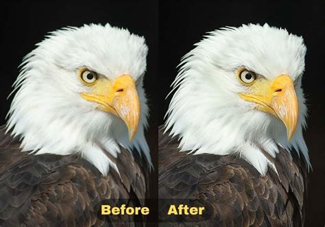 6 Can T Live Without Digital Tools And Software For Photographers Imglarger Blog