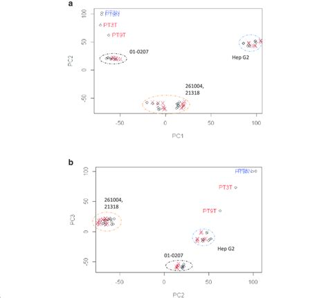 Pca Analysis Of Hierachial Clustering Of Originating Tumors Cell Line