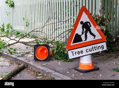 Tree Cutting Safety Sign And Cone On The Street Warning About Of Danger Zone With Fallen