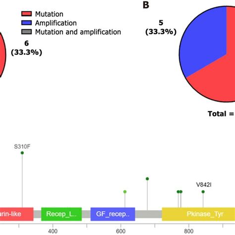 Distribution Of The Top 16 Somatic Mutations In The Cbioportal Database Download Scientific
