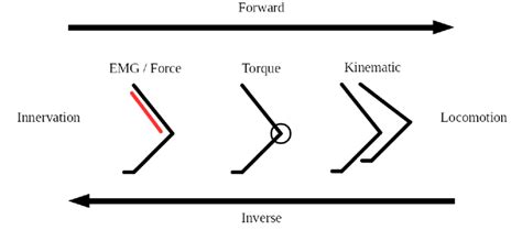 Abstraction Of The Forward And Inverse Simulation Parameter Chain For