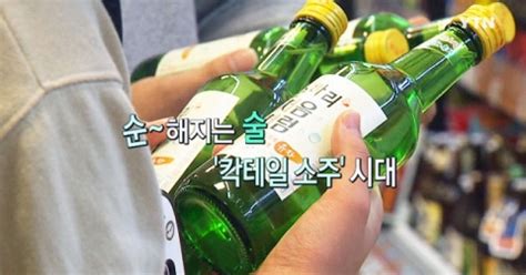 순해지는 술칵테일 소주 시대