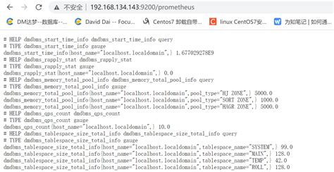 【监控杂谈二】自定义达梦8采集项 Exporter 主机监控 Grafana展示 子督の小窝