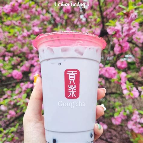 공차 메뉴 타로밀크티 펄추가 베스트 콤비네이션 스탬프쿠폰 사용 네이버 블로그