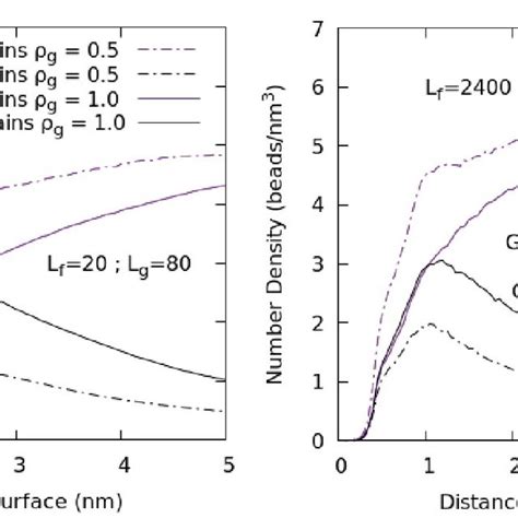 Panel A Autocorrelation Function Of The End To End Vector For Free