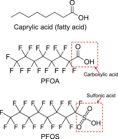 Structures Of The Linear Isomers Of Pfoa And Pfos N Pfoa And N Pfos