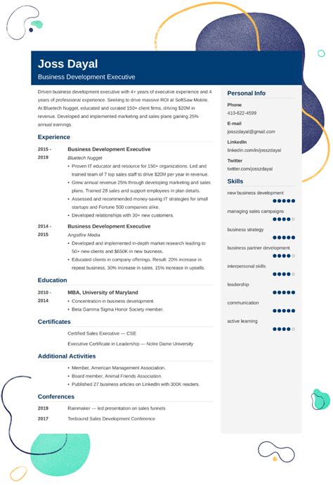 Executive Resume Templates With C Level Examples And Tips Executive Resume Templates With C Level Examples And Tips