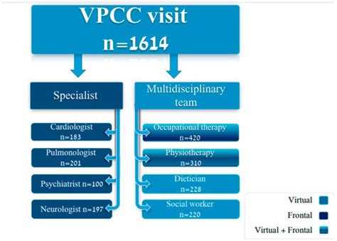 Use Of A Virtual Multi Disciplinary Clinic For The Treatment Of Post