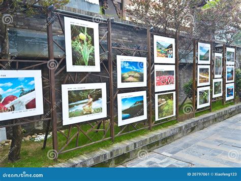 Public Art Exhibition Editorial Photo Image Of Show 20797061