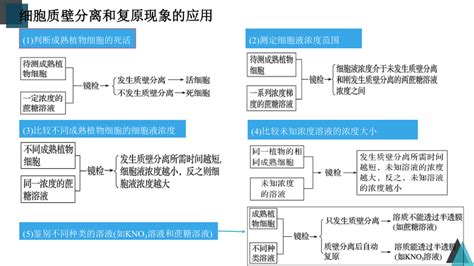 专题03 物质进出细胞的方式课件共22张ppt 2023年高考生物二轮复习（全国通用） 21世纪教育网